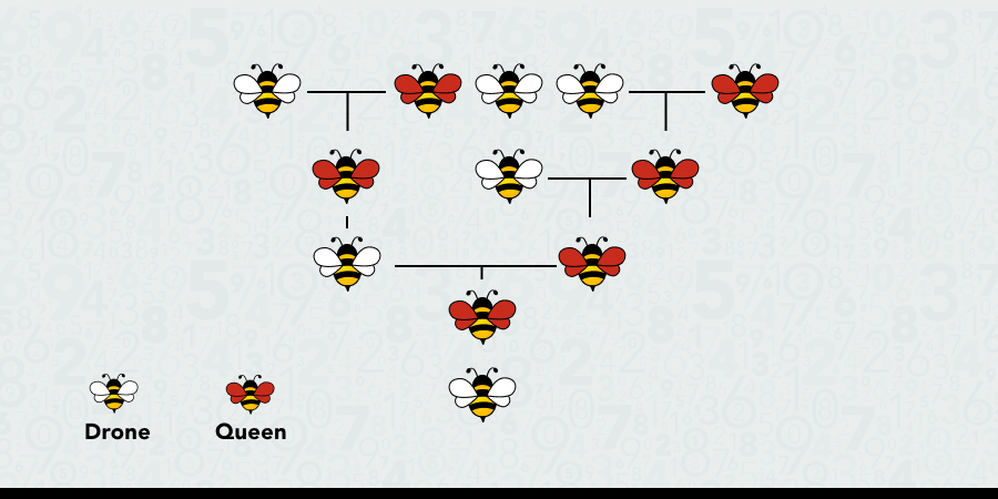 9 Examples of the Golden Ratio in Nature + Definitions